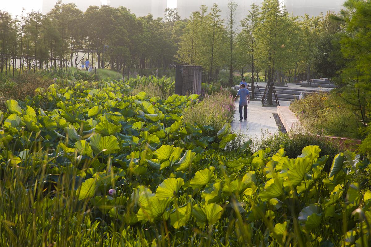 The Floating Gardens -- Yongning River Park Turenscape