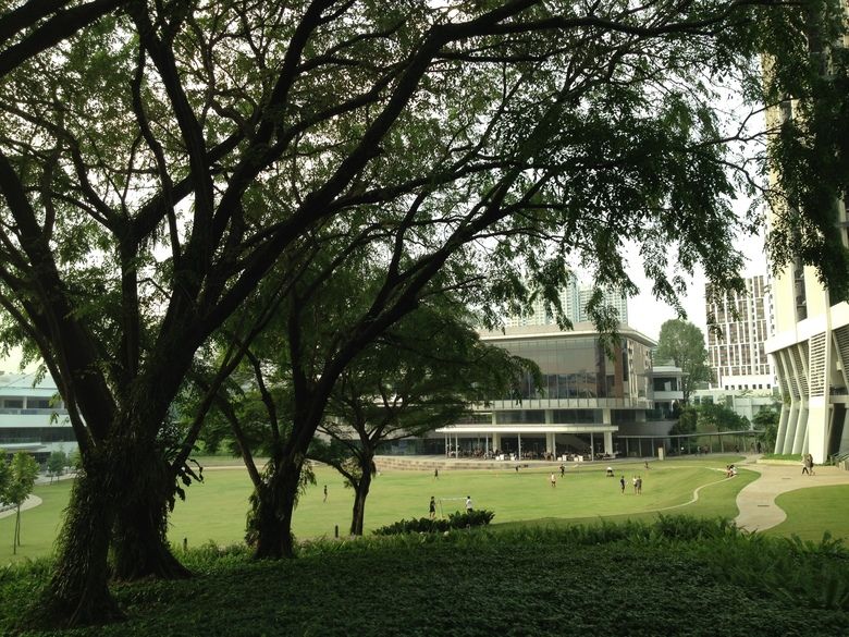NUS University Town (NUS UTown) STX Landscape Architects