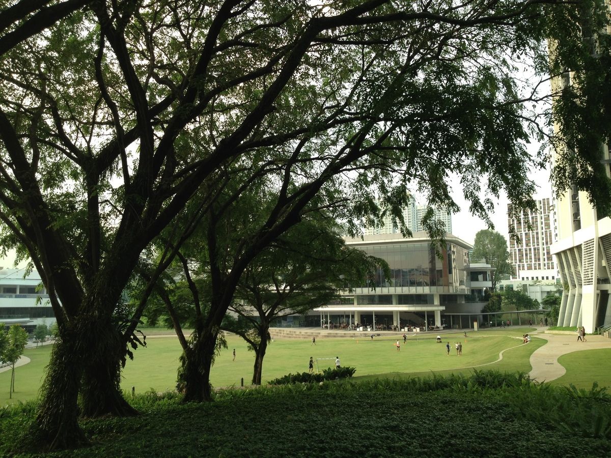 NUS University Town (NUS UTown) STX Landscape Architects