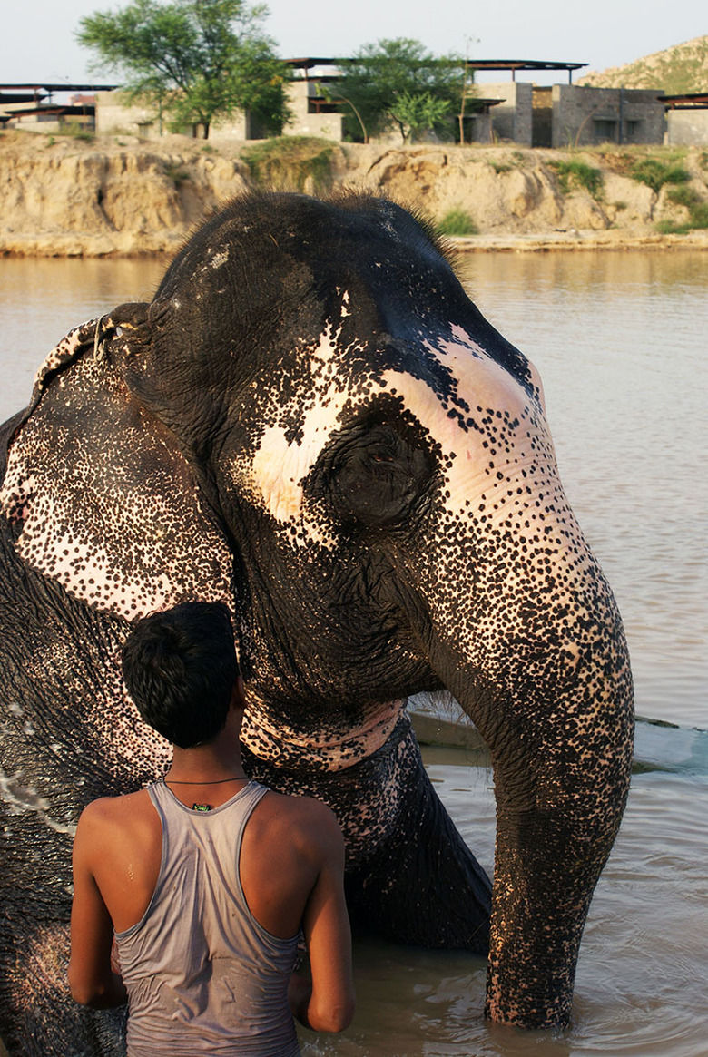Hathigaon (Housing for Elephants and their Mahouts) RMA Architects