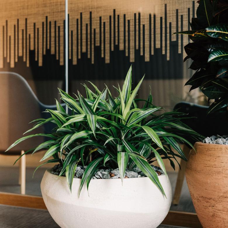 Umbau Arztpraxis Dr. Muggli Lindenhof atelier 10punkt3 ag