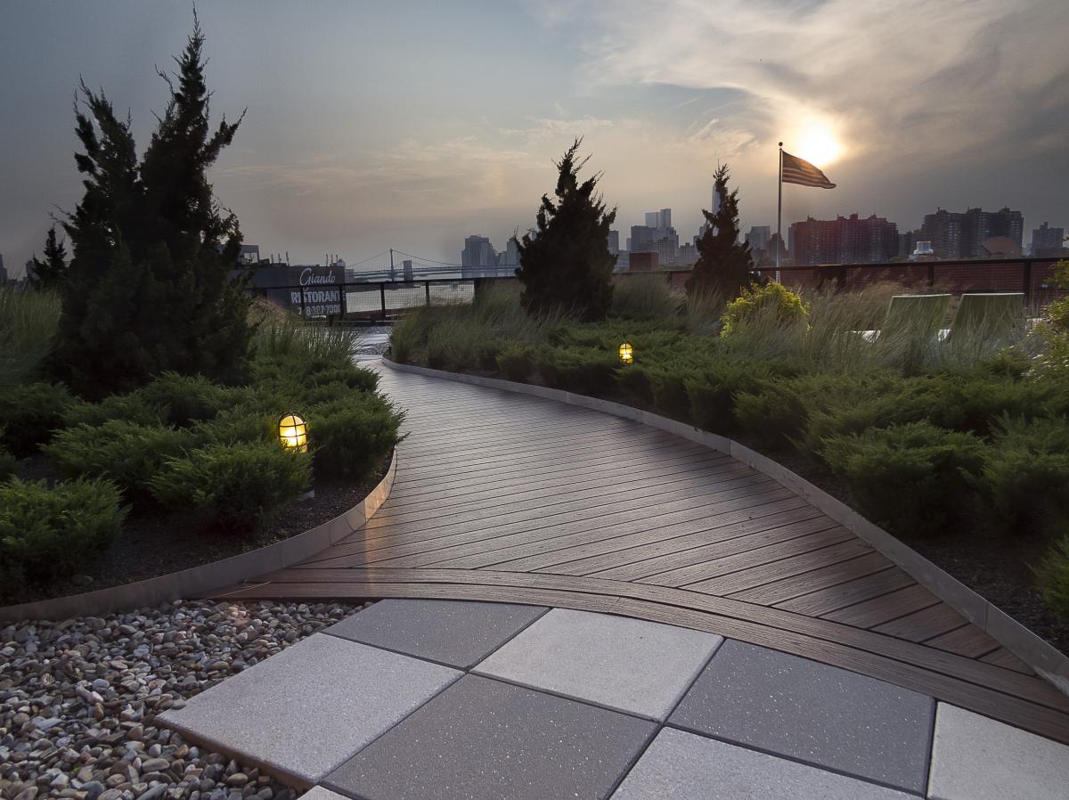 Williamsburg High-Rise Green Roof Starr Whitehouse Landscape Architects ...