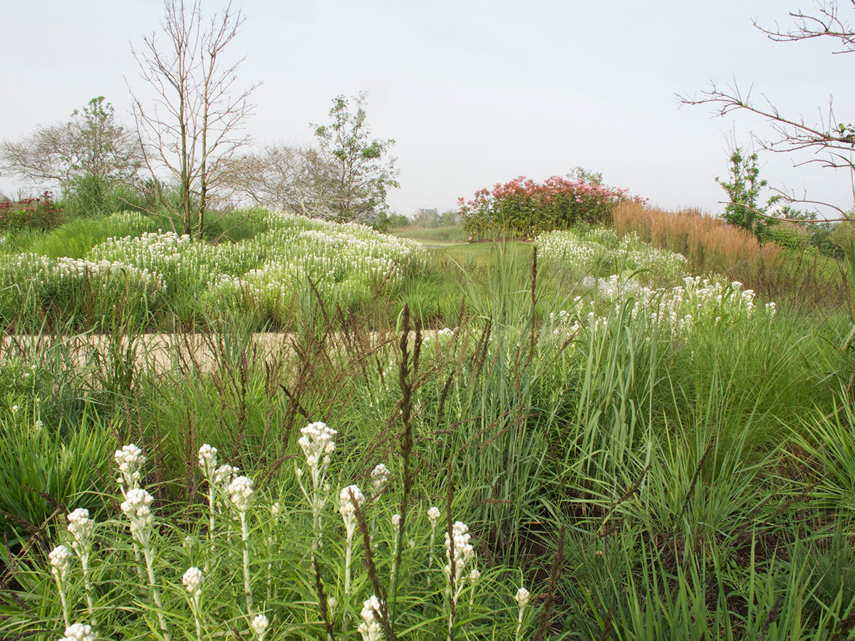 Nantucket Dune Residence james corner field operations