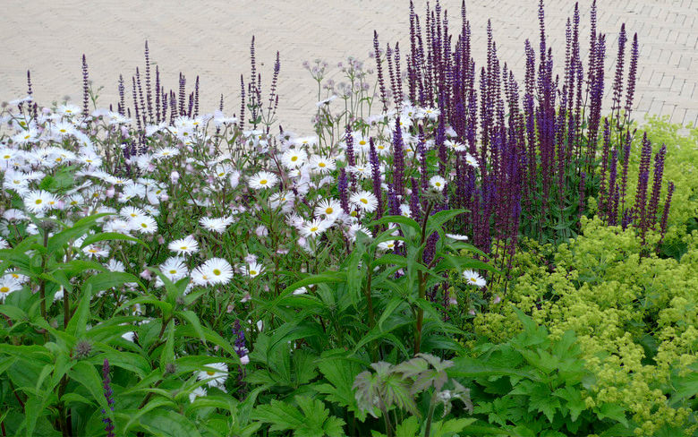 Erweiterung St. Bonifatius Hospital GTL - Michael Triebswetter ...